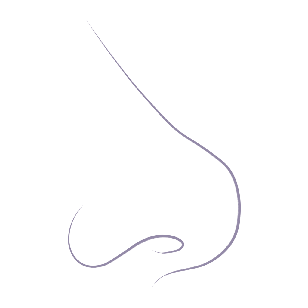 Most Common Nose Concerns Addressed by Rhinoplasty