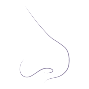 Most Common Nose Concerns Addressed by Rhinoplasty