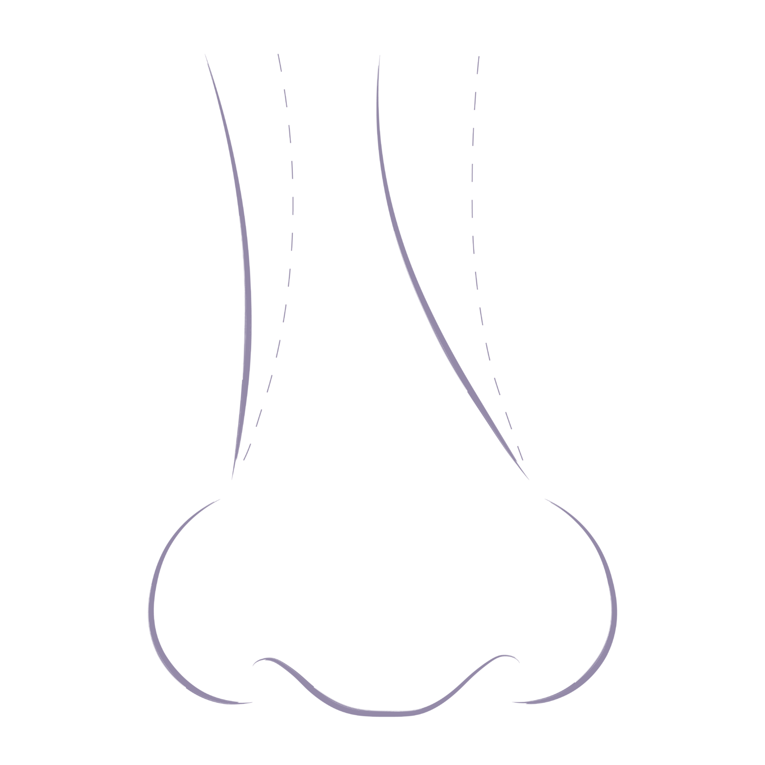 Most Common Nose Concerns Addressed by Rhinoplasty