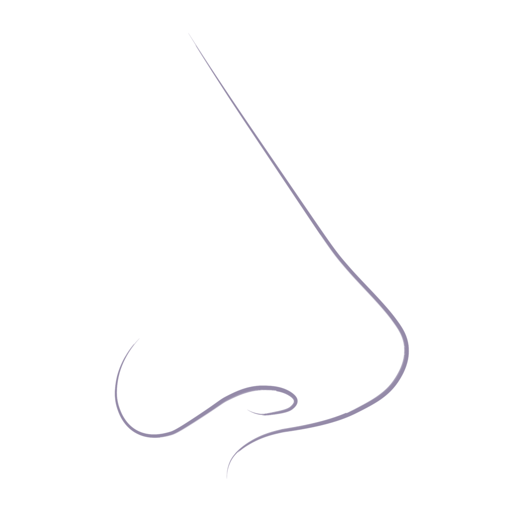 Most Common Nose Concerns Addressed by Rhinoplasty