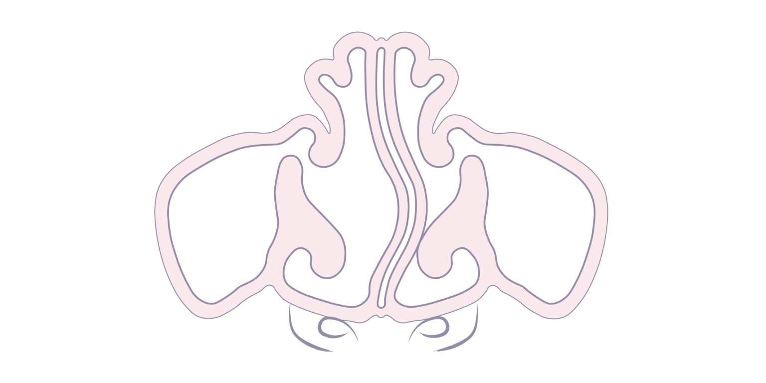Septoplasty in Melbourne | Deviated Septum Surgery at Me Clinic