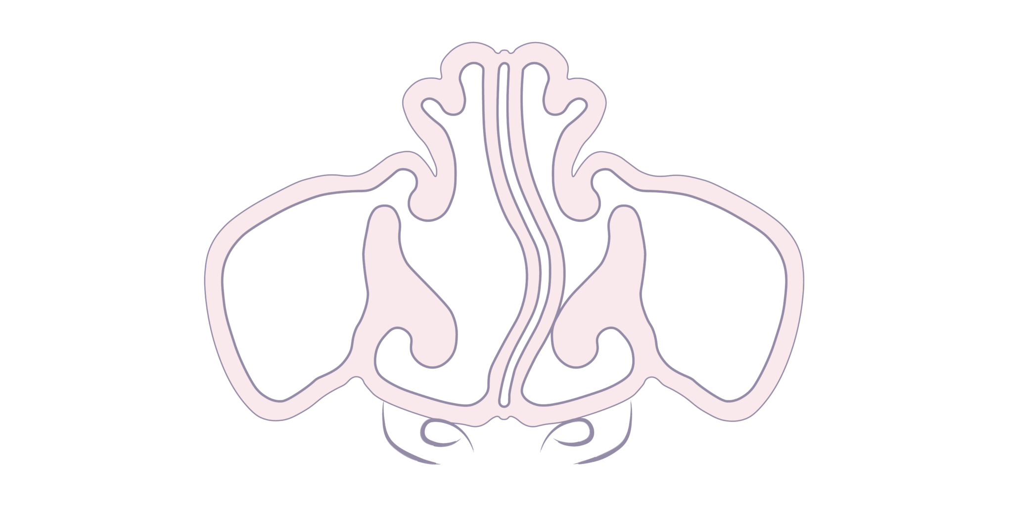 Septoplasty in Melbourne | Deviated Septum Surgery at Me Clinic