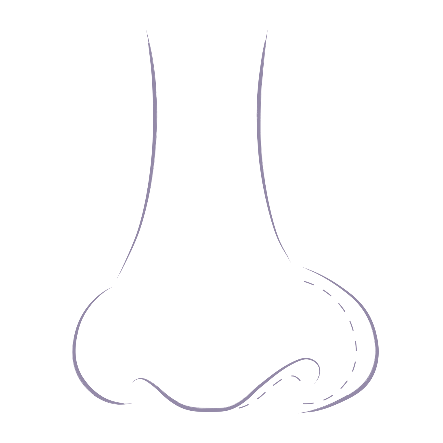 Key Features of a 'Beautiful Nose' - Science Proven | Melbourne
