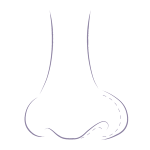 Key Features of a 'Beautiful Nose' - Science Proven | Melbourne