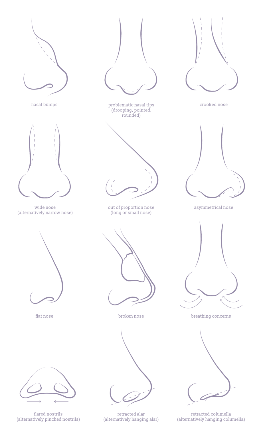 Key Features of a 'Beautiful Nose' - Science Proven | Melbourne